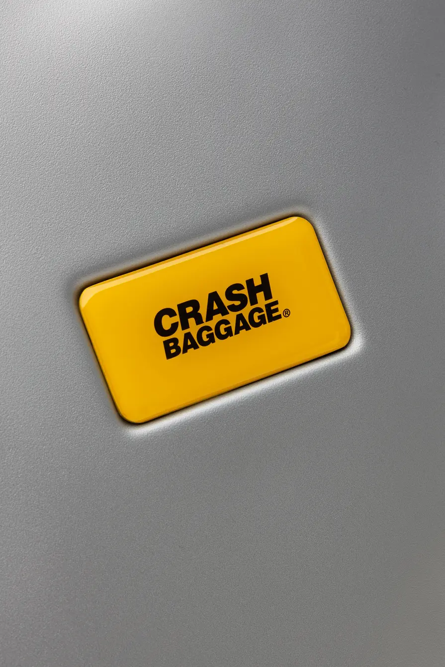 Рюкзак Crash Baggage iconic backpack silver 9400240059 - купить в ...